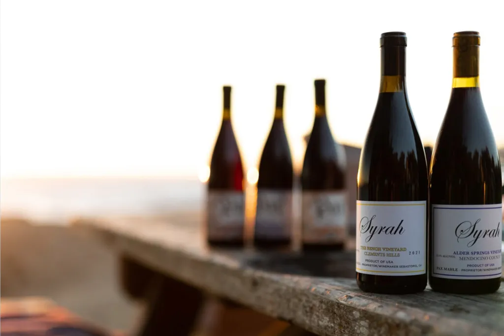 Syrah: Bold, Spicy, and Full of Character - Wine Journey Begins